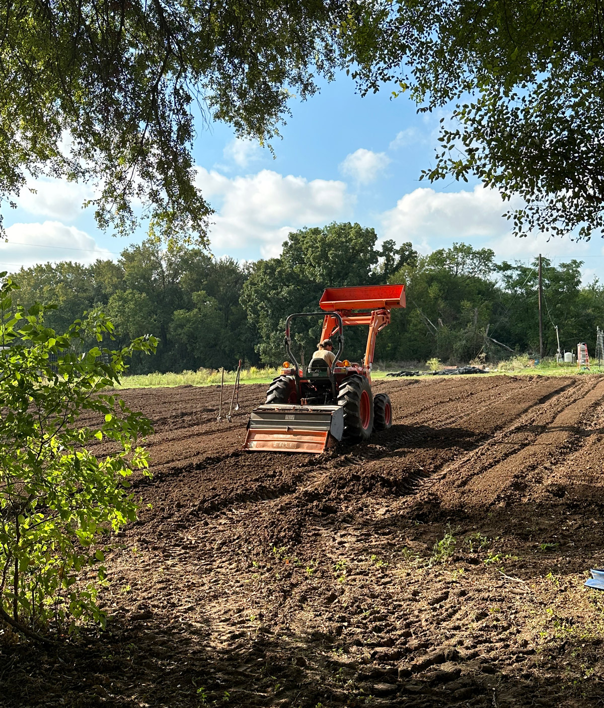 Our Farms - Urban Roots
