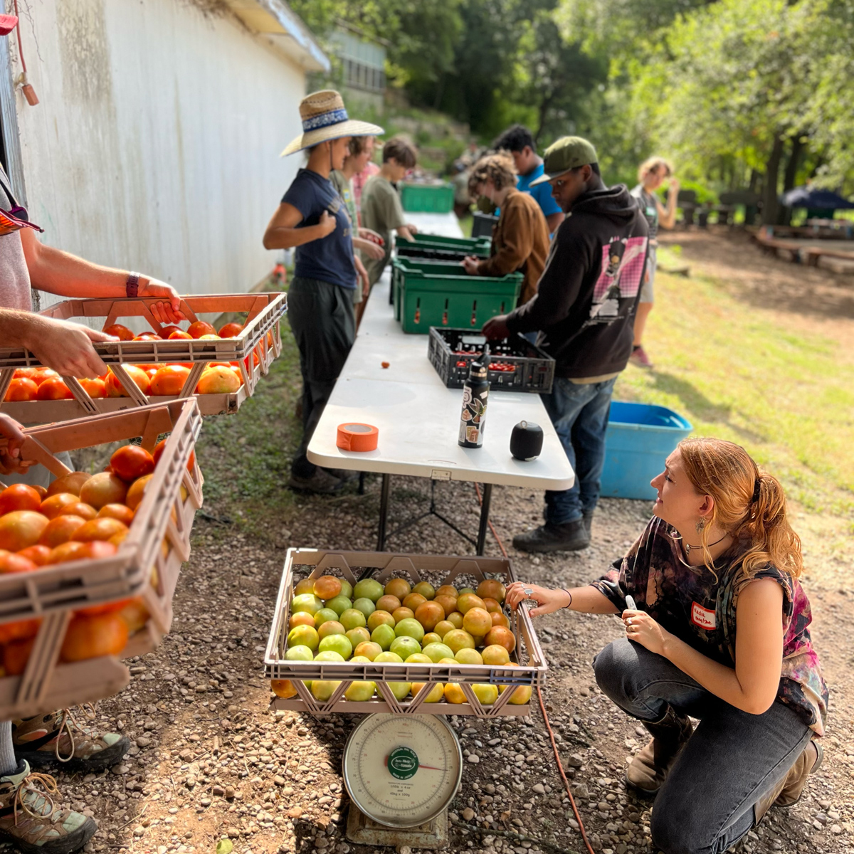 Food Access Program - Urban Roots